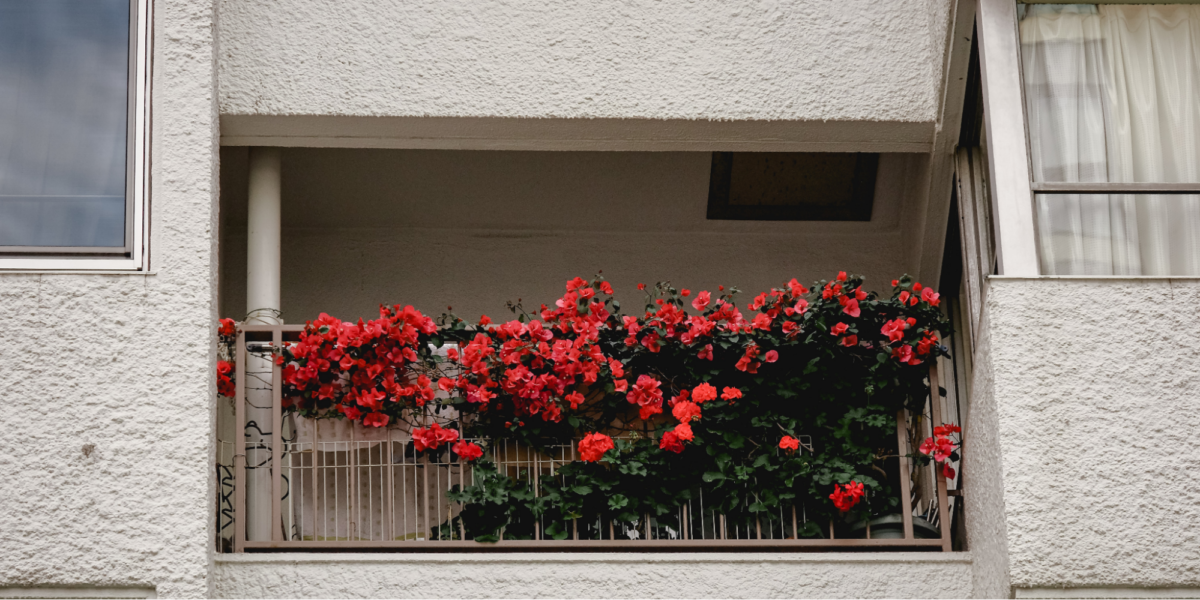 The Best Flowers To Decorate Your Home With - Guidesify