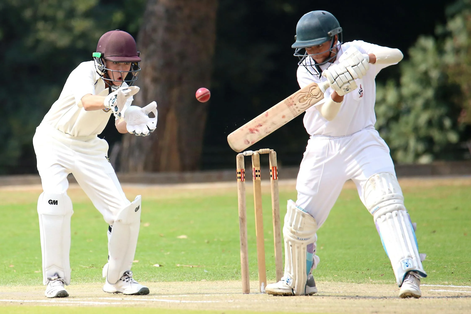 A Complete Guide to the Rules and Basics of Cricket - Guidesify